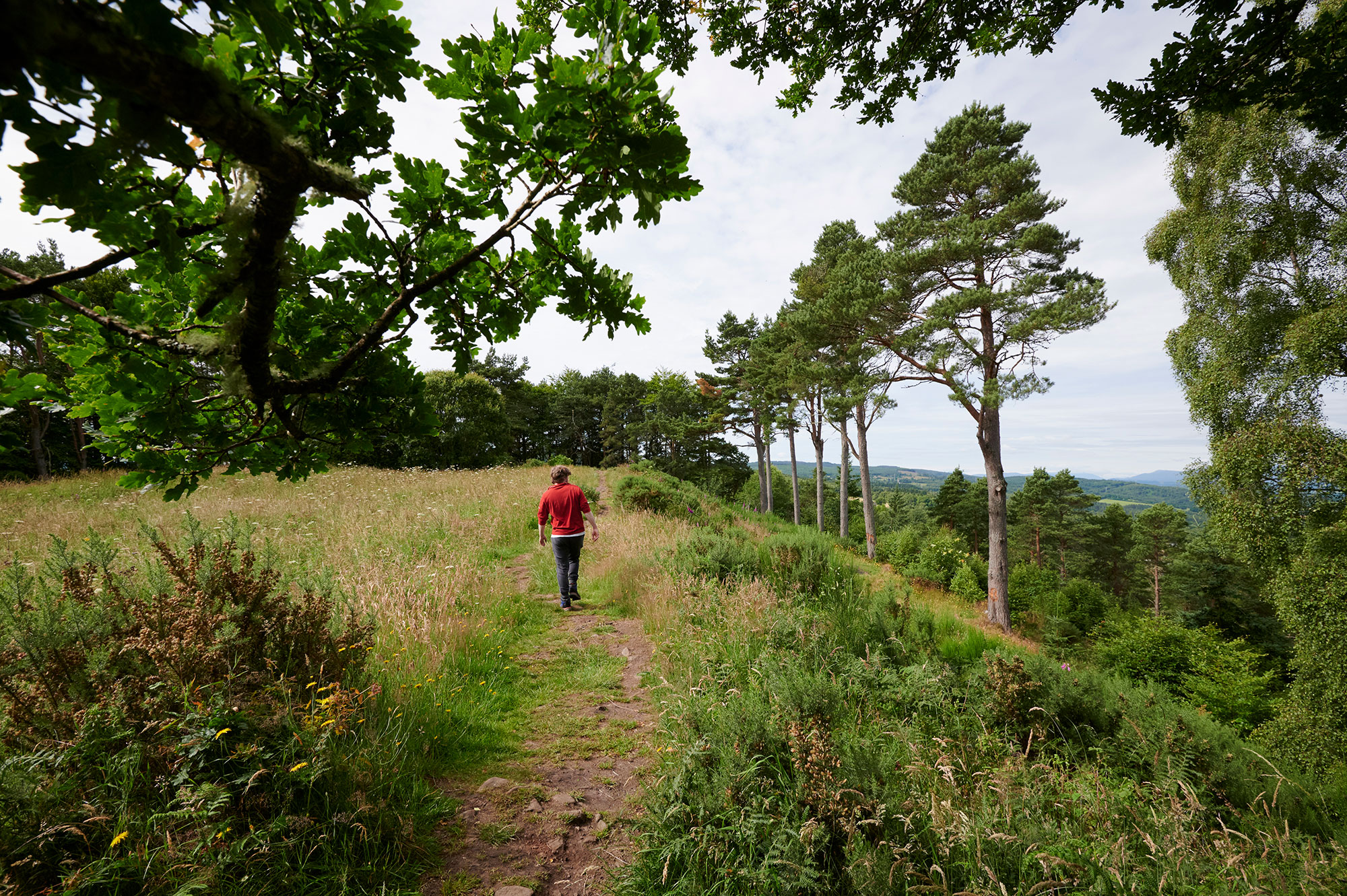 Craig Phadrig Iron Age and Pictish hillfort, Inverness - Highland ...